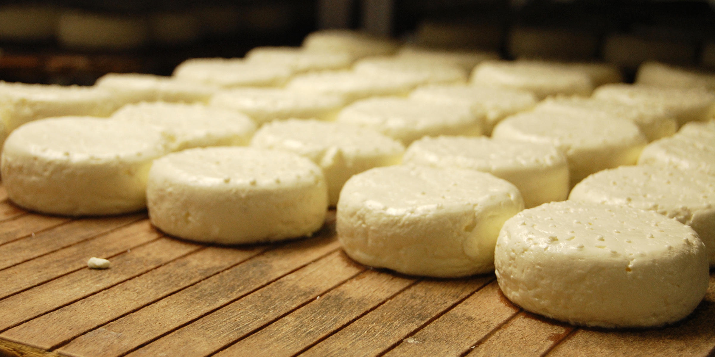 Om Lactalis - Lactalis